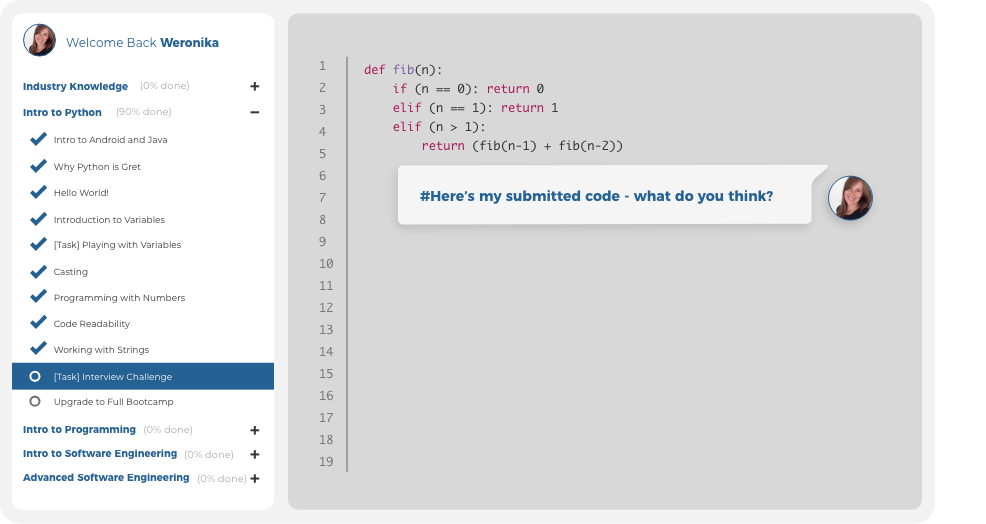 One on one human mentoring for code review